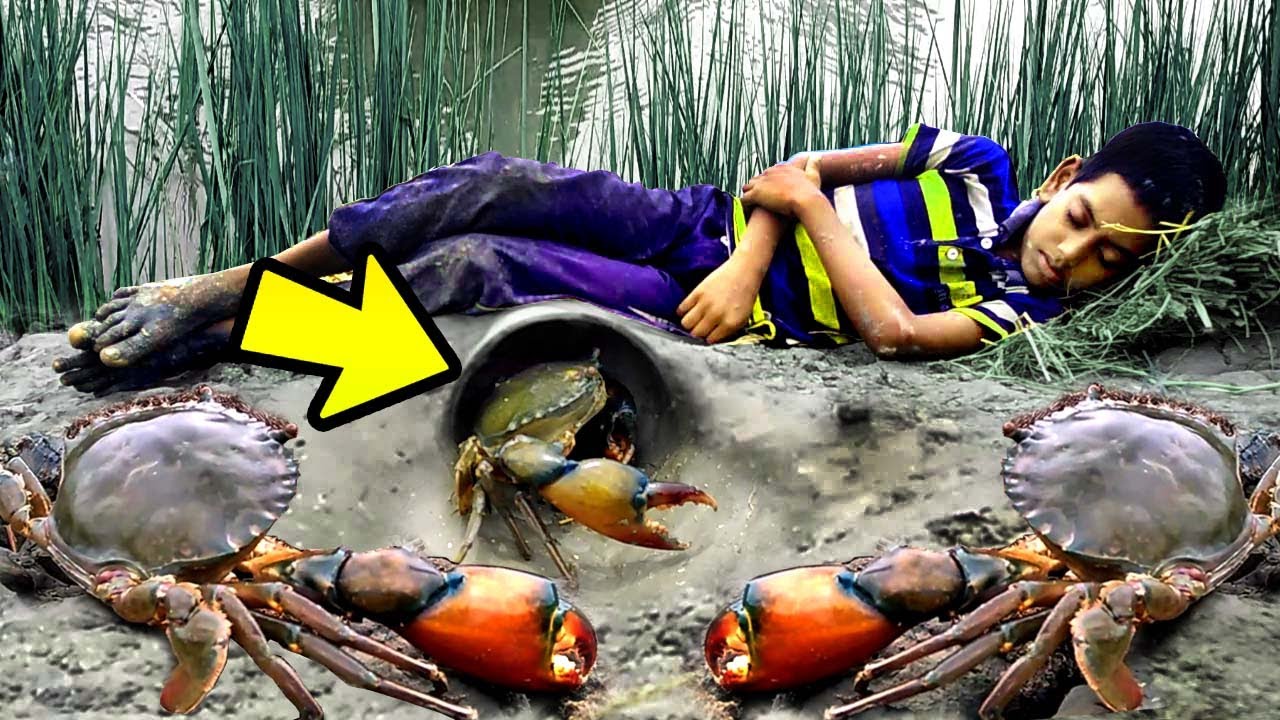 Amazing Smart Boy Applied a New Method of Catching 🦀Big Mud Crabs ...