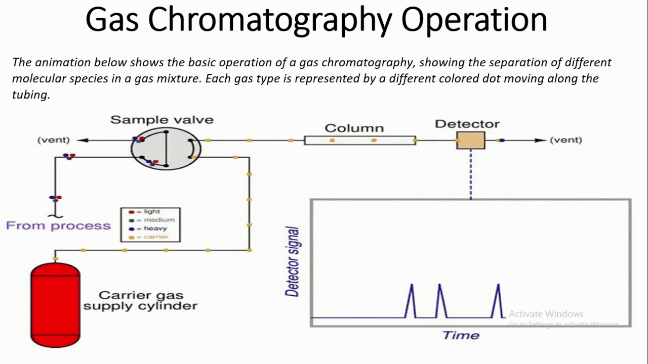Gas Chromatography Schematic Schematic Diagram Of Gas Chromatography.