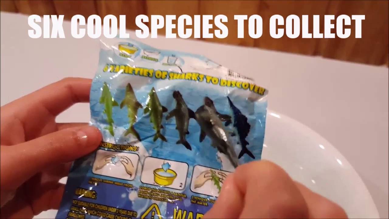 Big Jaws Fizzy Shark - Six Varieties to Collect - YouTube
