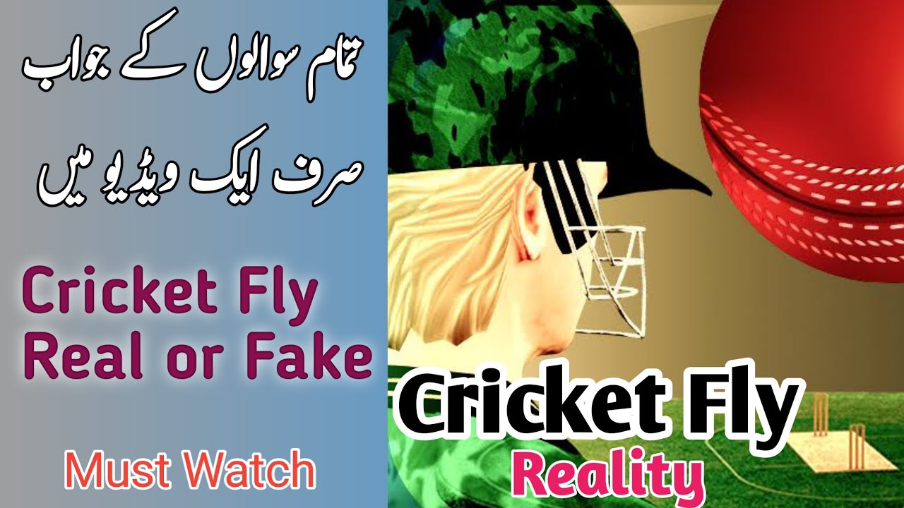 Cricket fly Real or Fake| Cricket fly game earn money online - YouTube