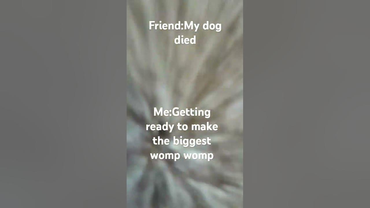 Big Plot Twist Youtube
