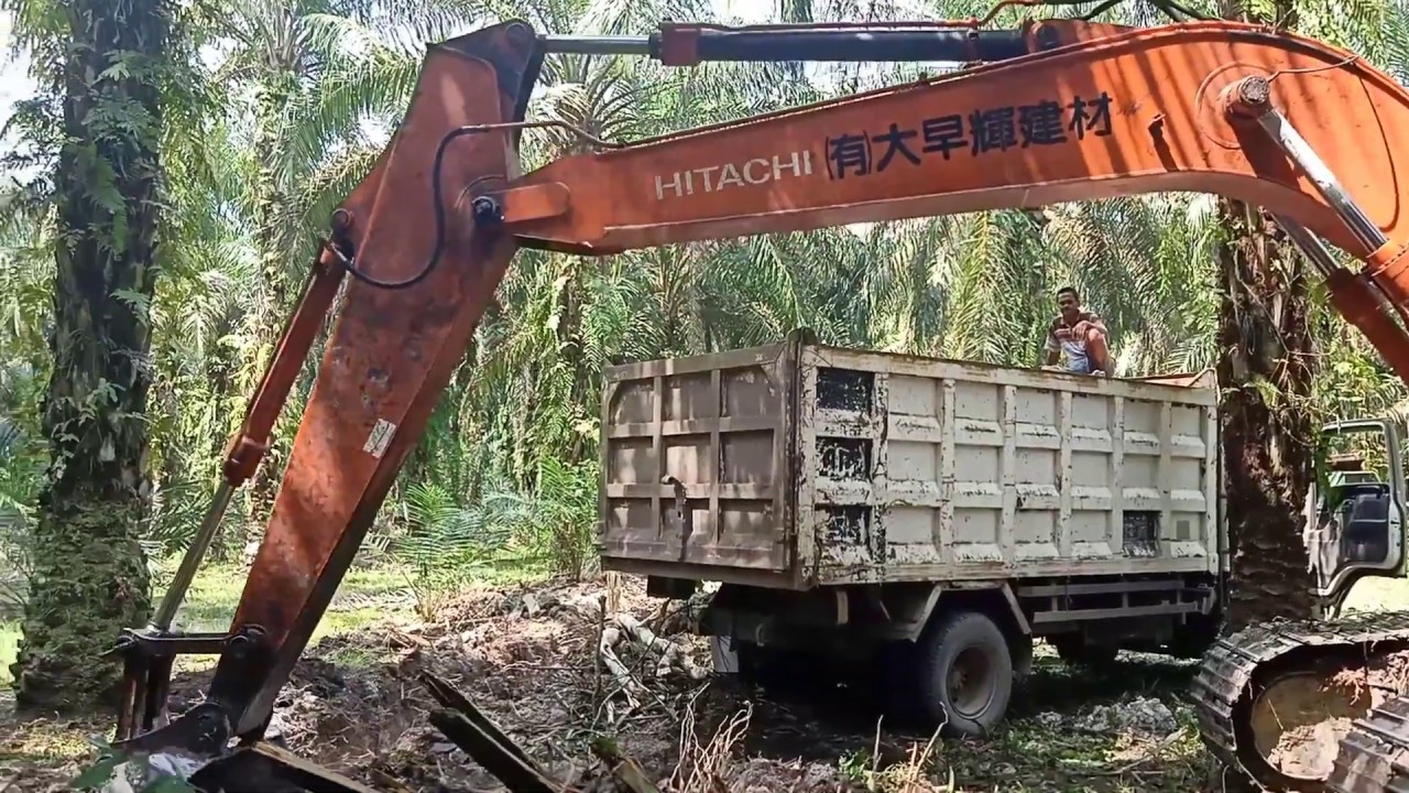 Alat Beko Besar - Mengeruk Tanah - Di tengah Lahan Sawit LSM - YouTube