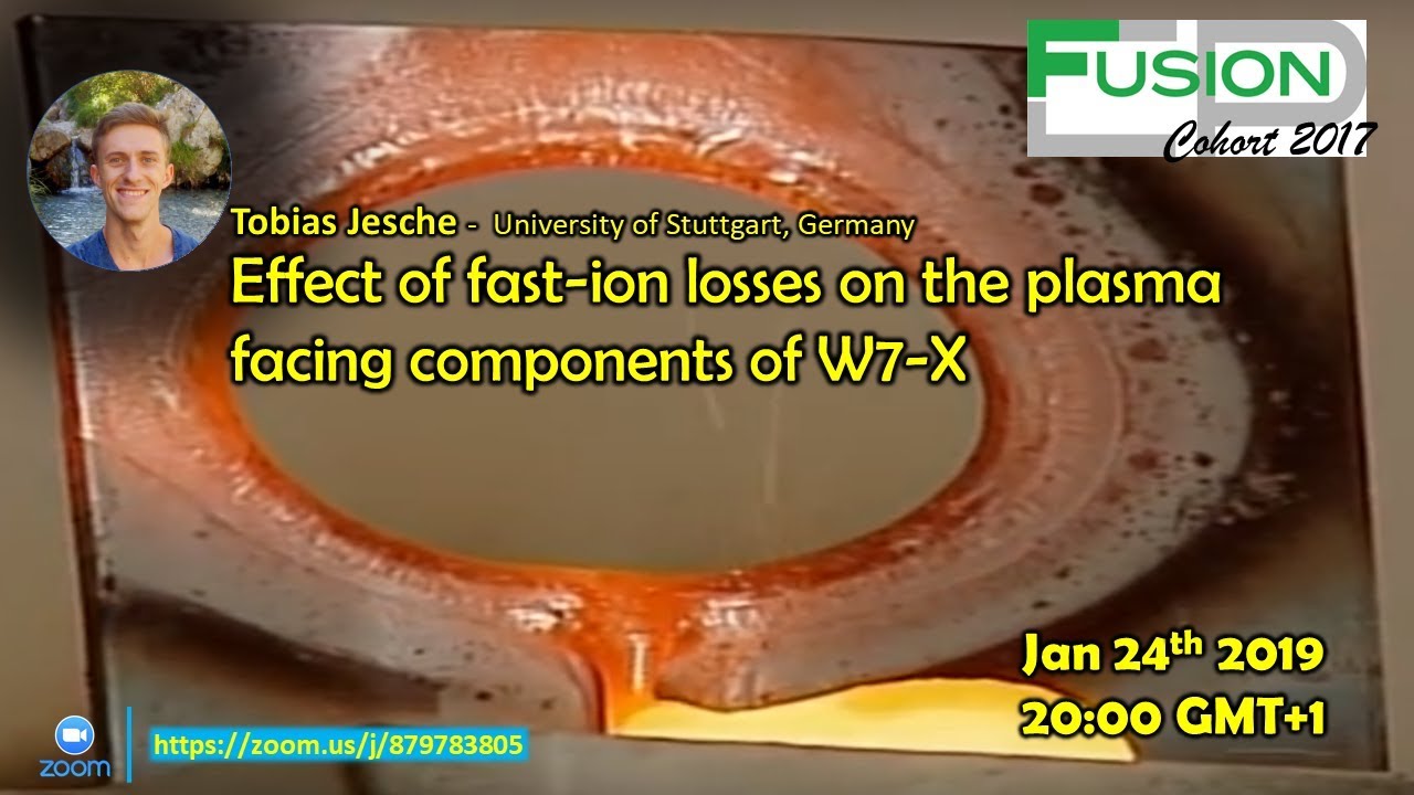 Effect of fast ion losses on the plasma facing components of W7-X ...