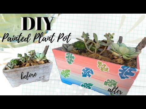 DIY Painted Plant Pot | Pastel Color Pot - YouTube
