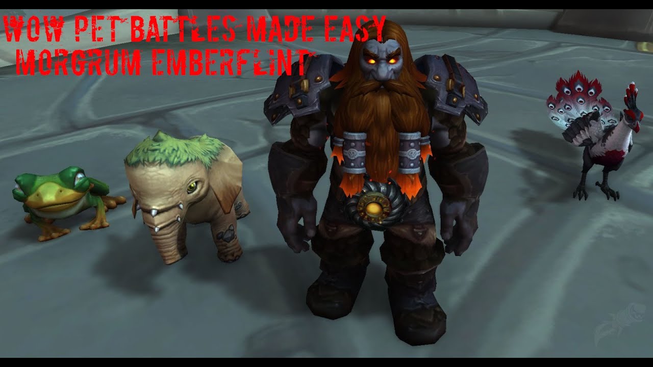 World of Warcraft Pet Battles - Morgrum Emberflint - YouTube