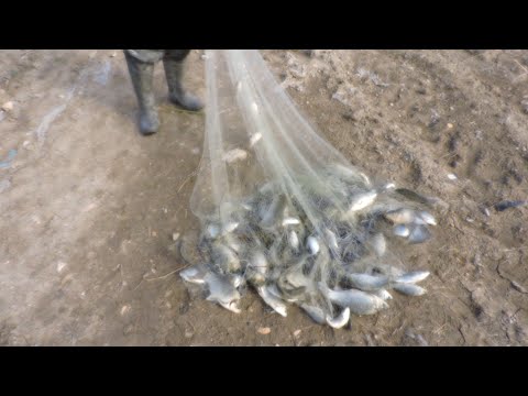 adana tuzla serpme avı #serpme #sazanavı #balık