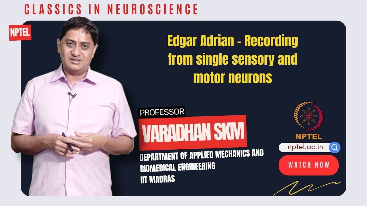 Edgar Adrian - Recording from single sensory and motor neurons - YouTube