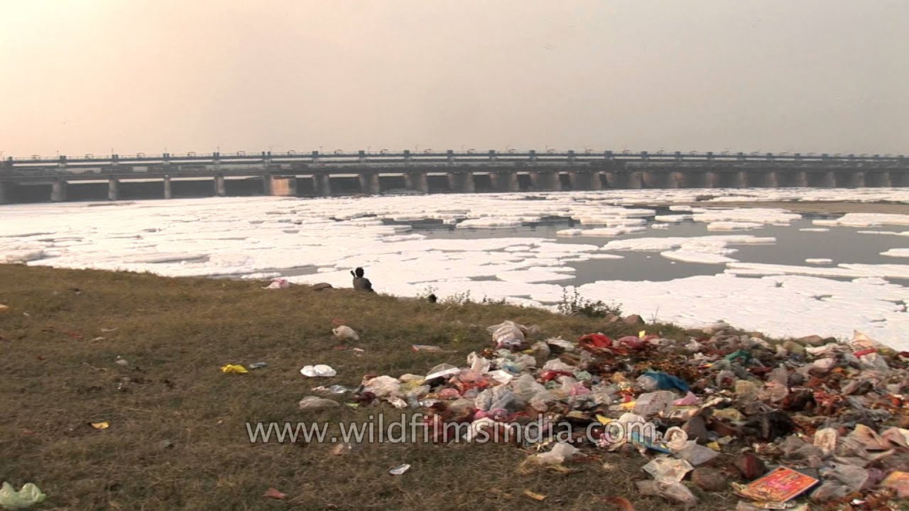 Yamuna River, polluted by industrial effluent - YouTube