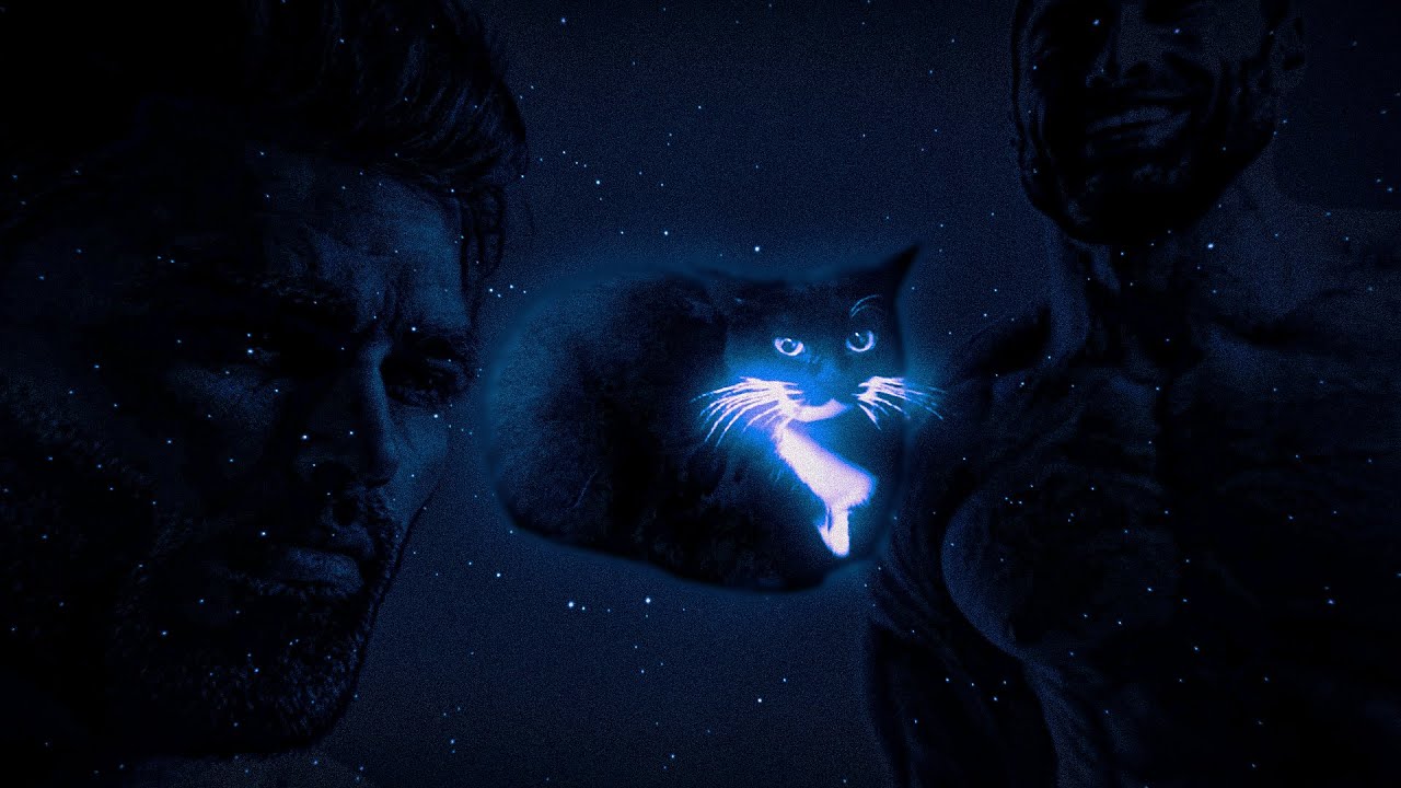 Maxwell The Gigachad Cat - YouTube