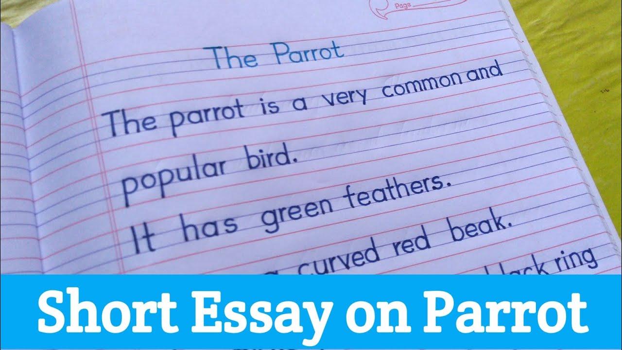 10 lines on Parrot in English||Parrot essay in English||english essay ...