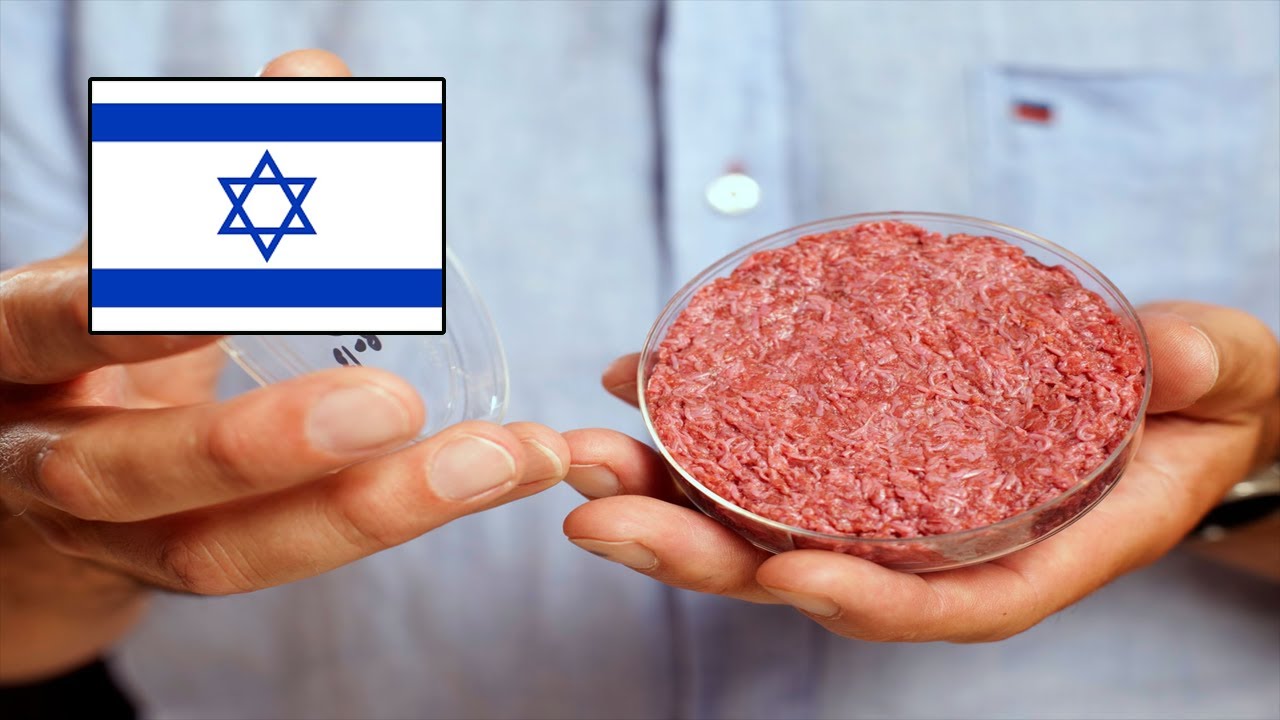UK plans to invest in Israel lab grow meat - YouTube