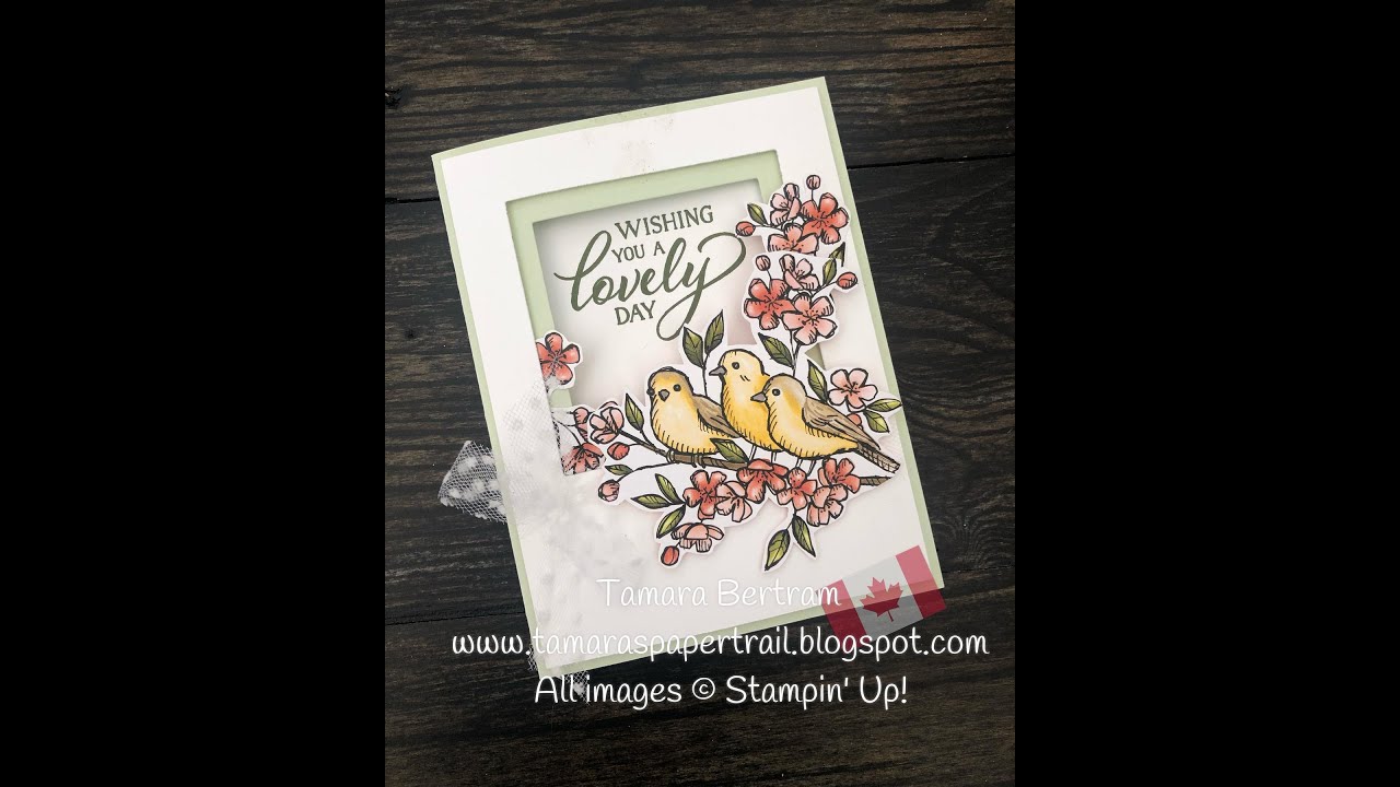 Picture Frame Card - YouTube