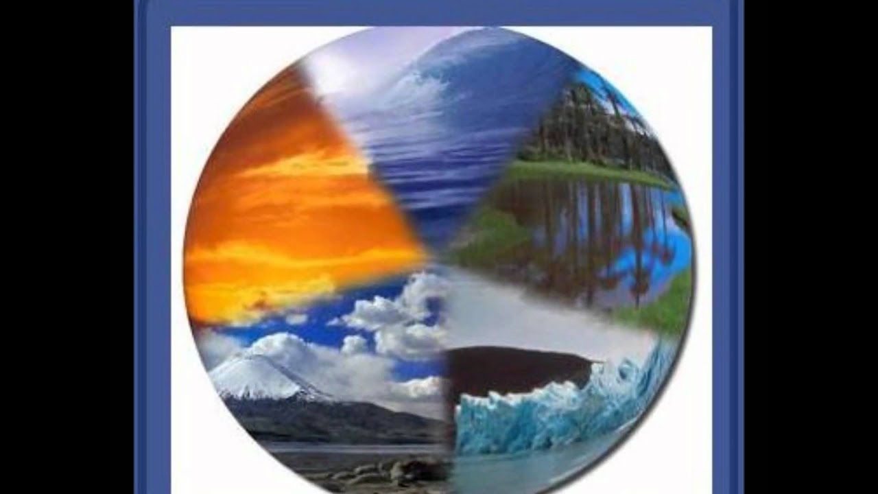 bioticos & abioticos proyecto FINAL biologia - YouTube