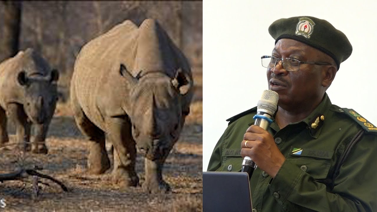 KUPOTEA KWA WANYAMA PORI YAWASTUA TAWA/ FARU, SIMBA WATAJWA/WANAOISHI ...