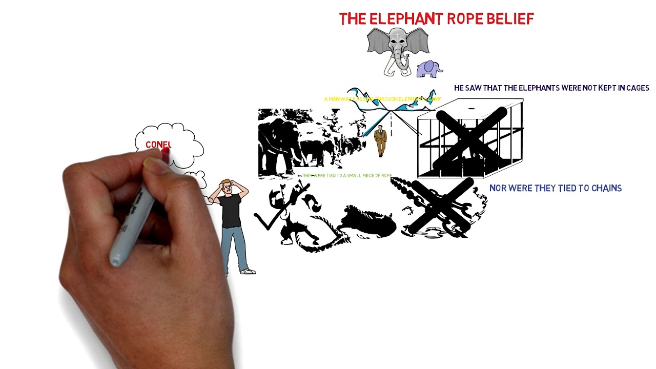 The Elephants rope belief (INsPIRATIONAL STORY) - YouTube