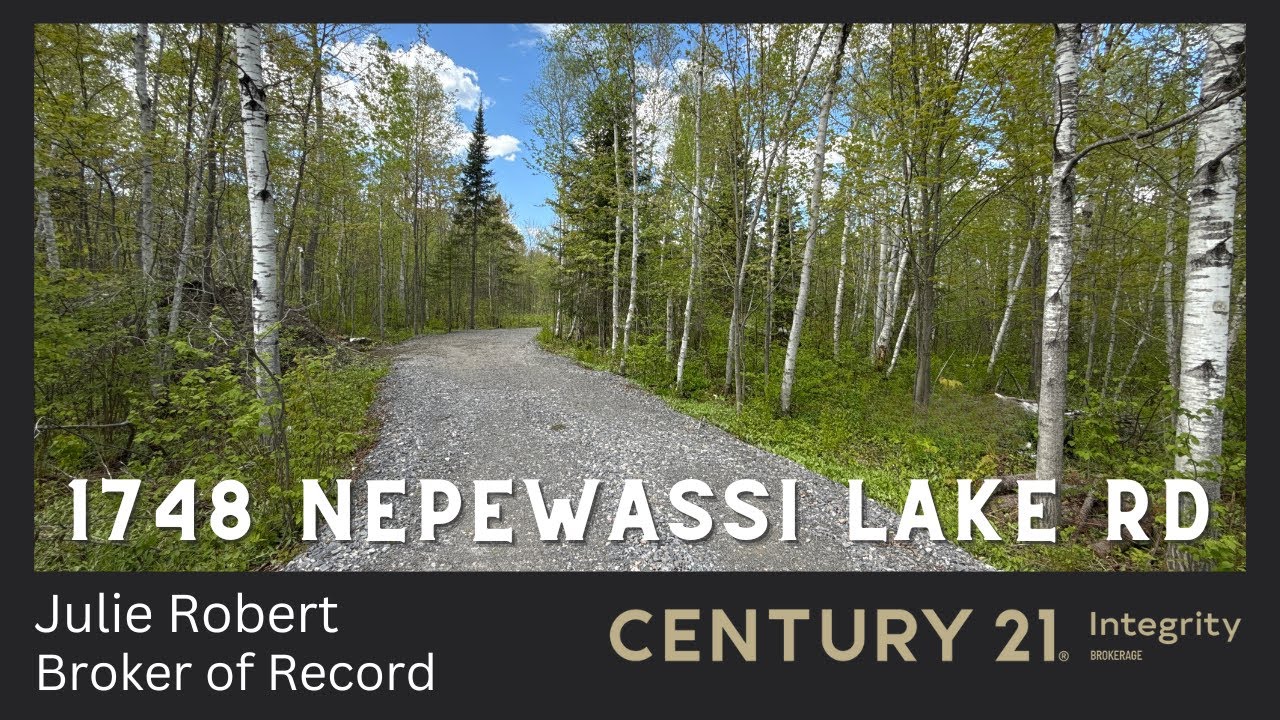 1748 Nepewassi Lake Road - YouTube