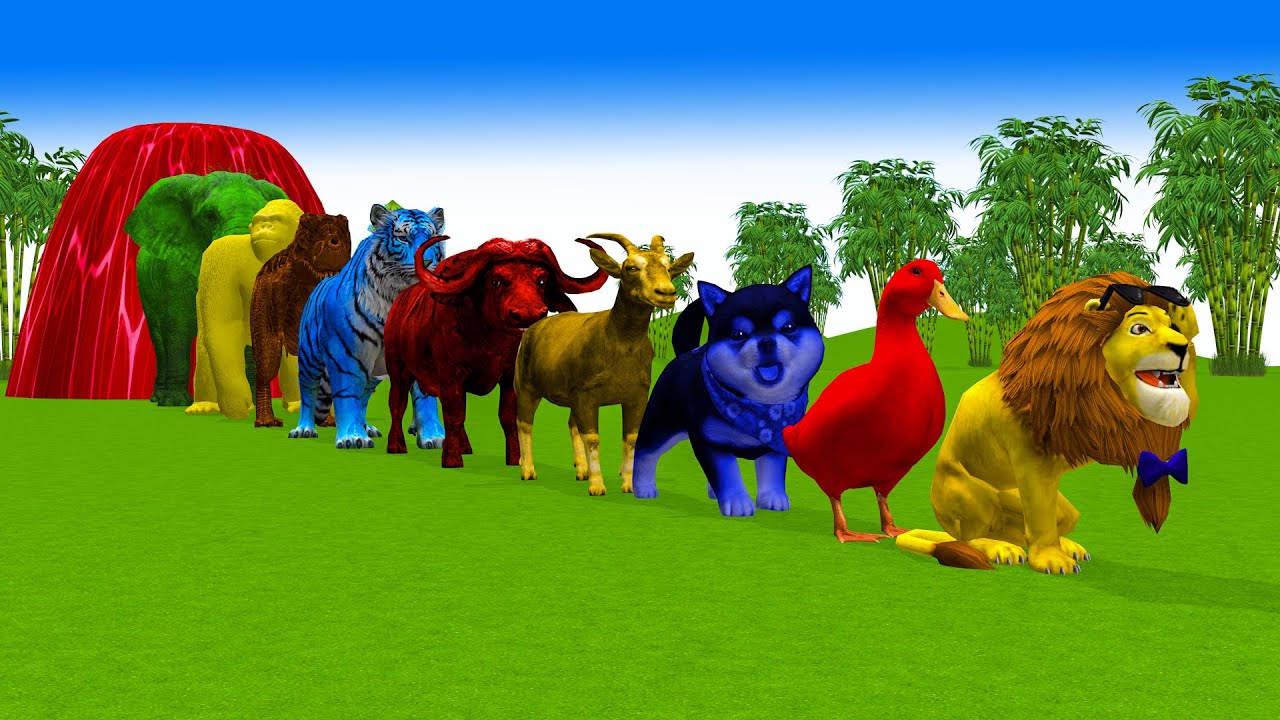 Paint & Animals Duck,Gorilla,Lion,Elephant,Cow,Sheep Fountain Crossing ...