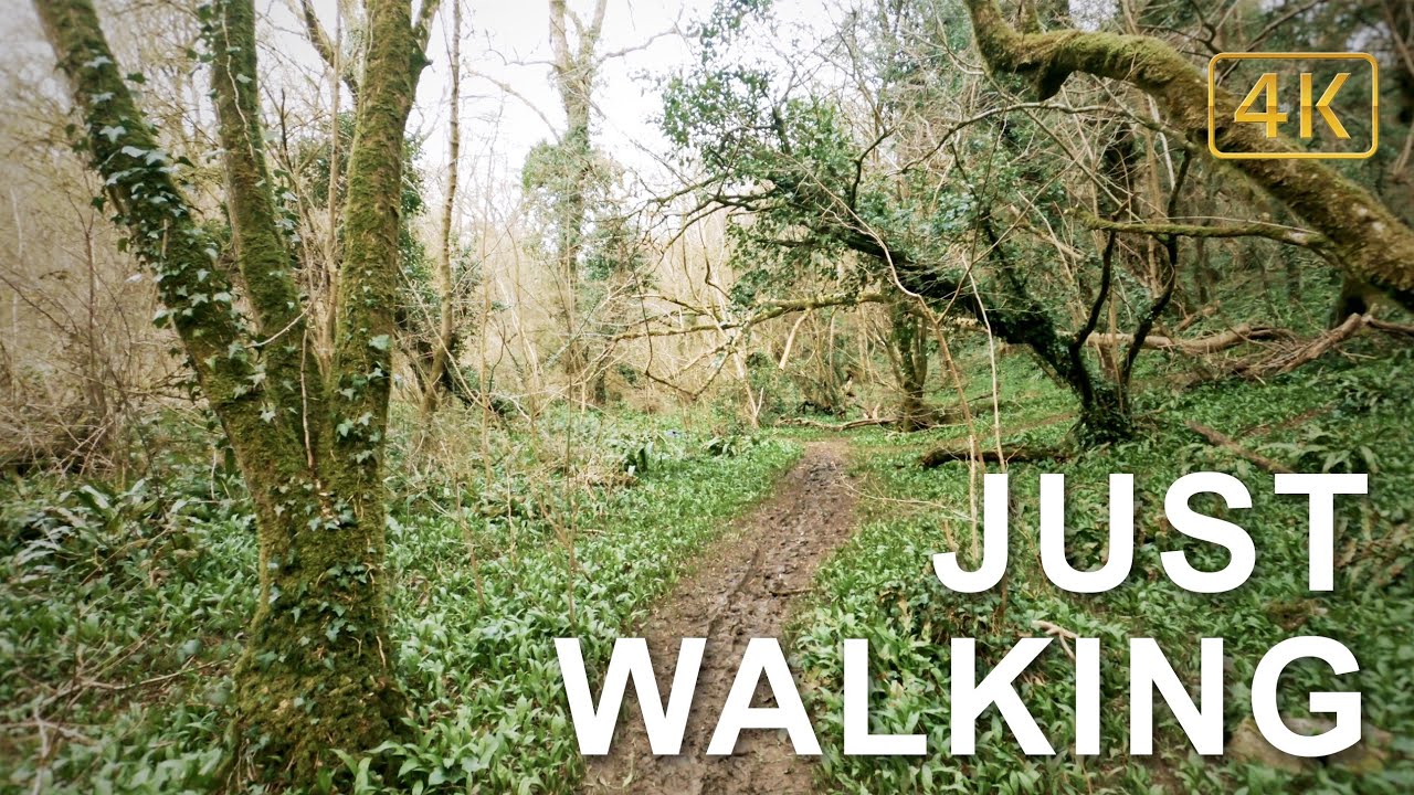 4K Virtual Hike Near a River and Forest | Vallis Vale Trail - YouTube