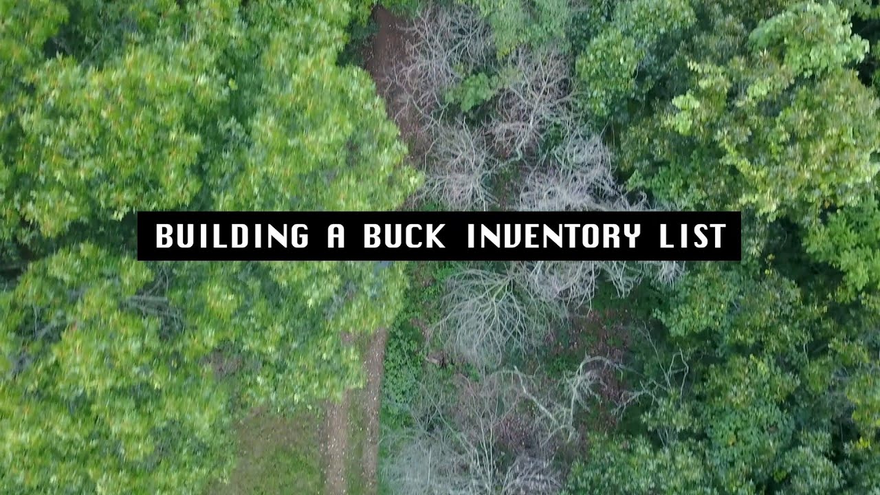 How to build a buck inventory for deer season - YouTube