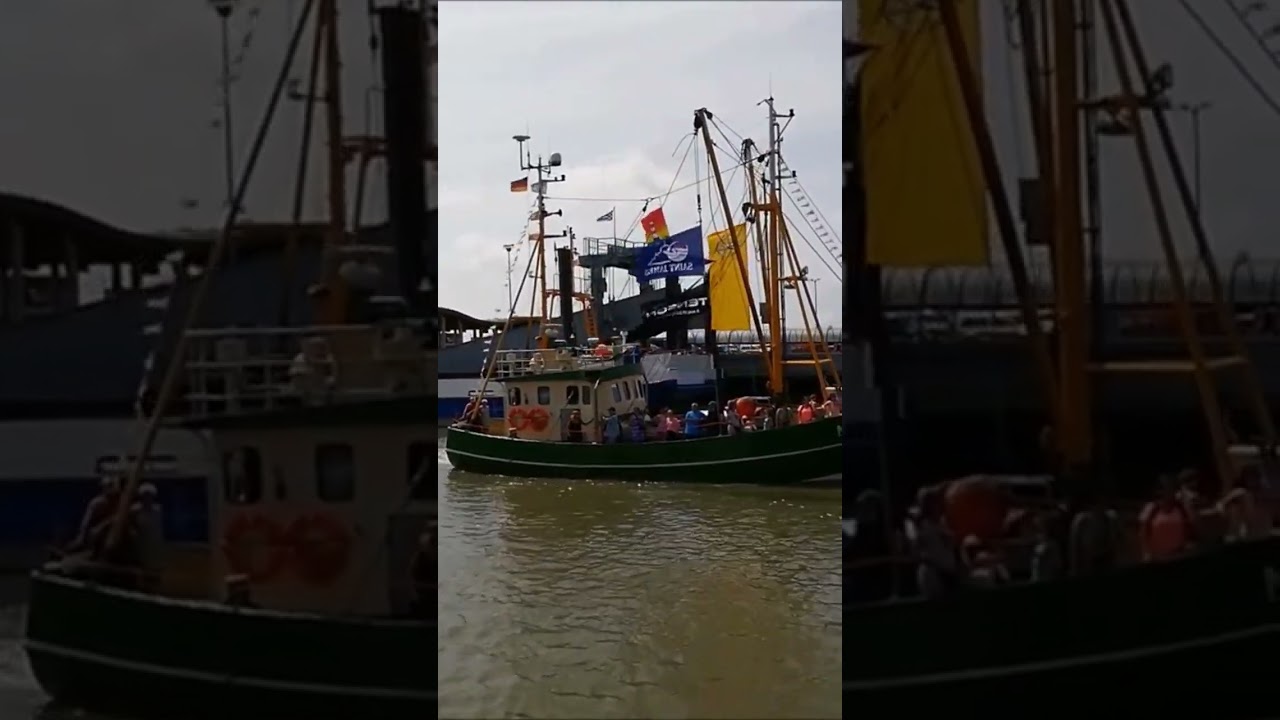 Kutter beim Kutterkorso in Norddeich #shorts - YouTube
