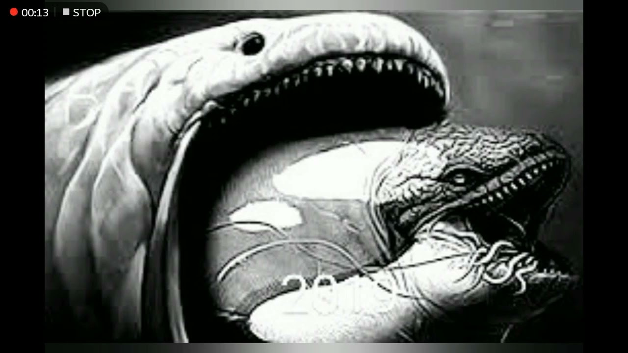 evolution of bloop part 10 - YouTube