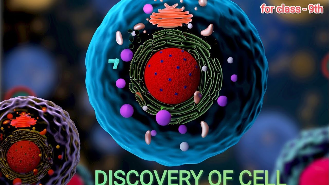 Class 9th science ch 1, ( discovery of cell ), notes and reading - Go IT