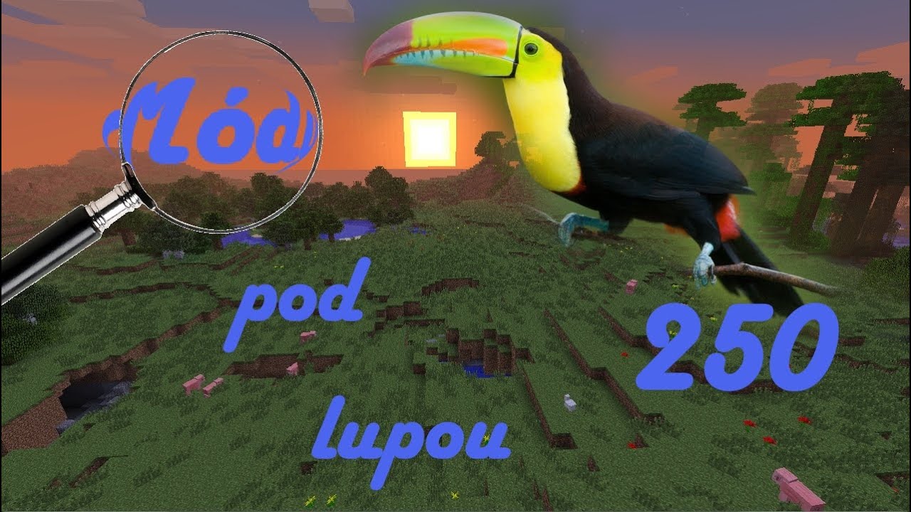 Mini Módy pod Lupou: Minecraft - Exotic Birds Mod (#250) - YouTube