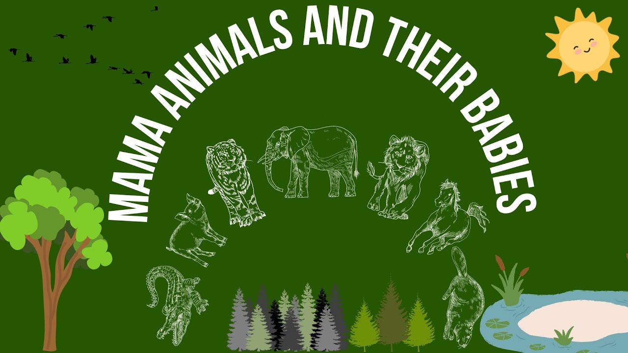 Mama Animals and their Babies - YouTube