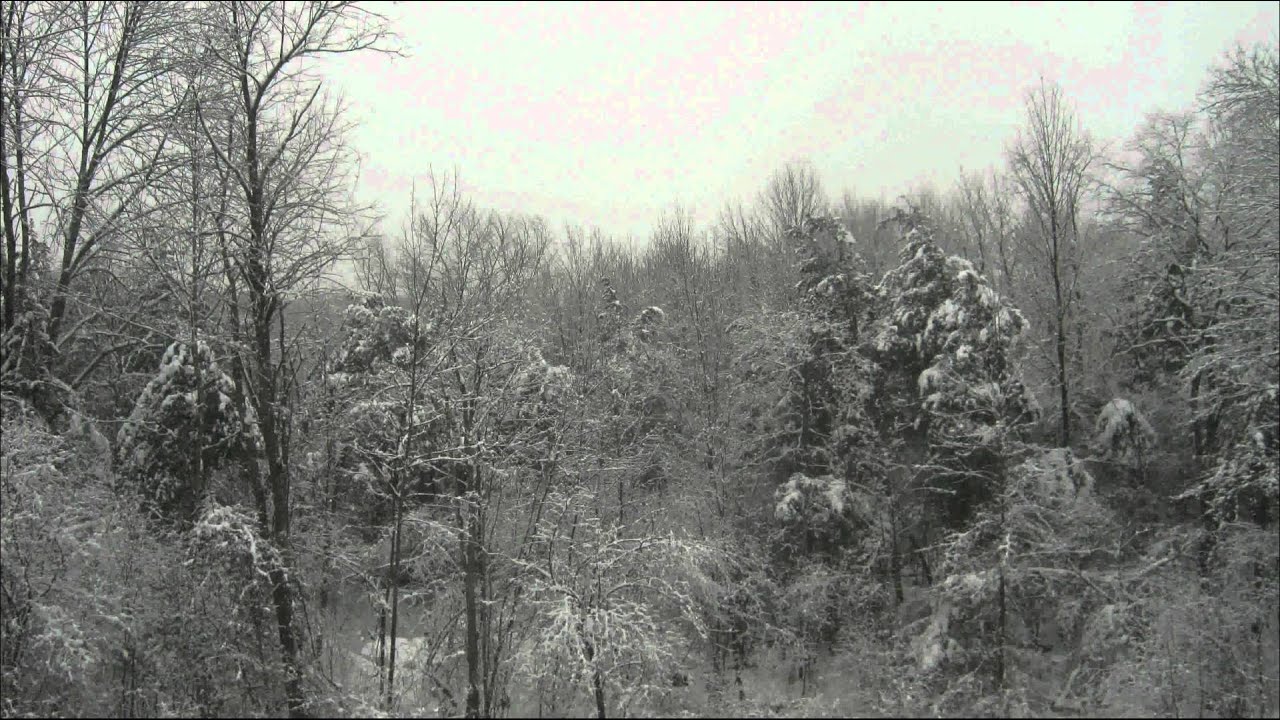 20120301_snow.avi - YouTube