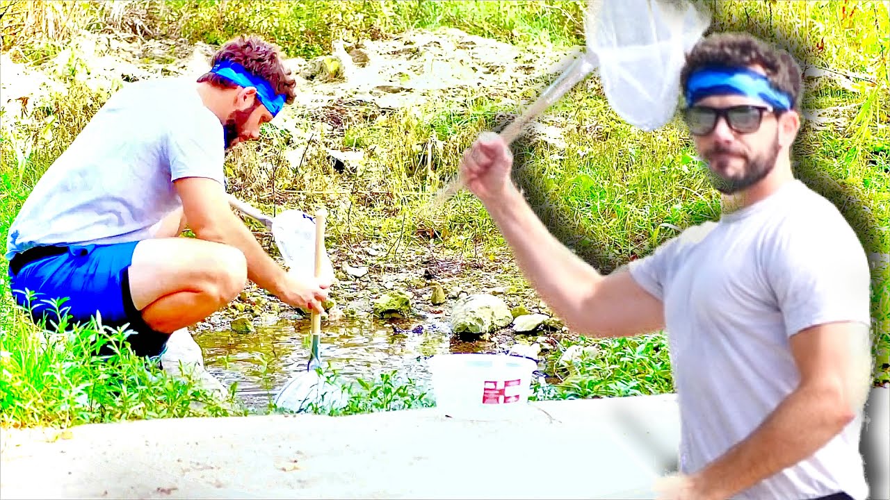 Surprise Fish from a Dying Puddle! - YouTube