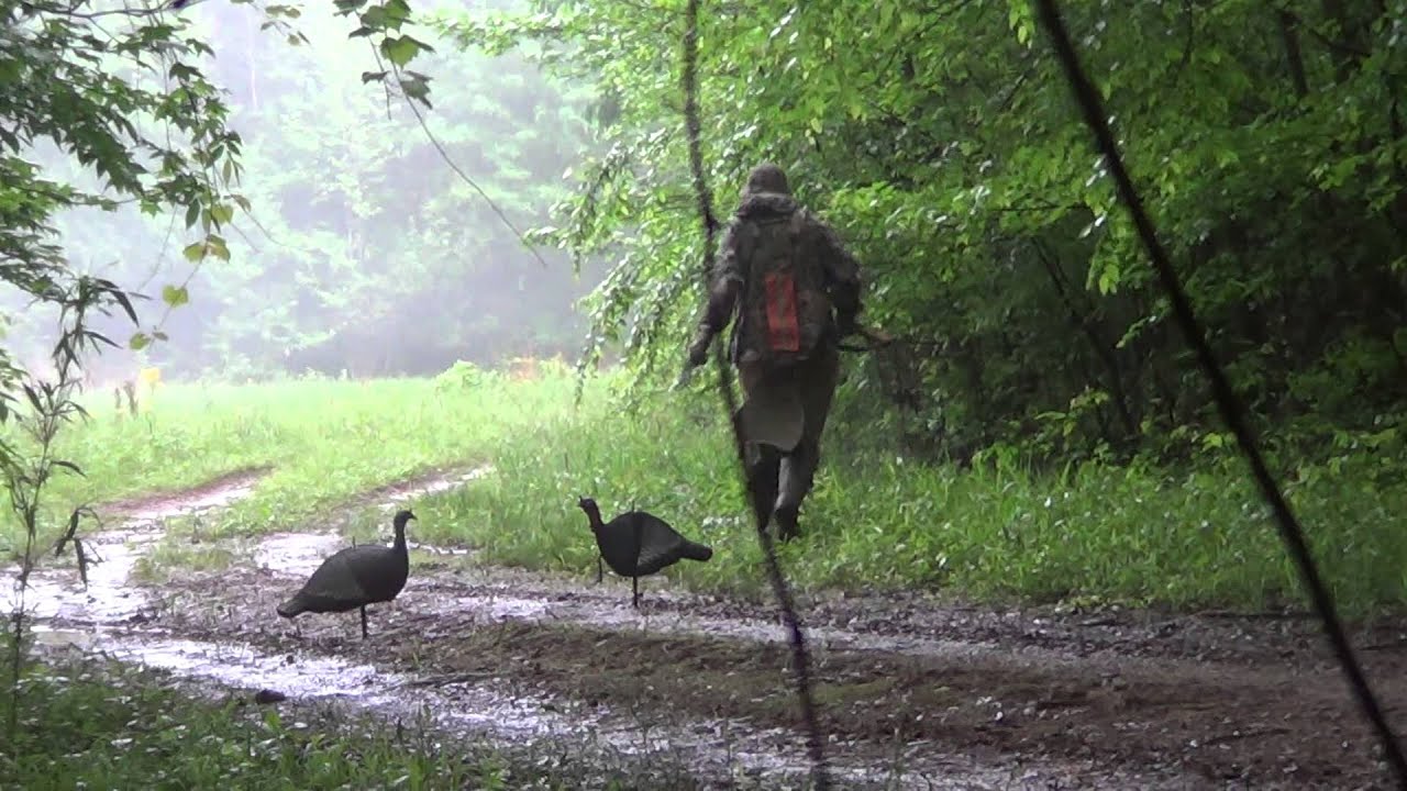 4-19-2015 Swamp Gobbler - YouTube