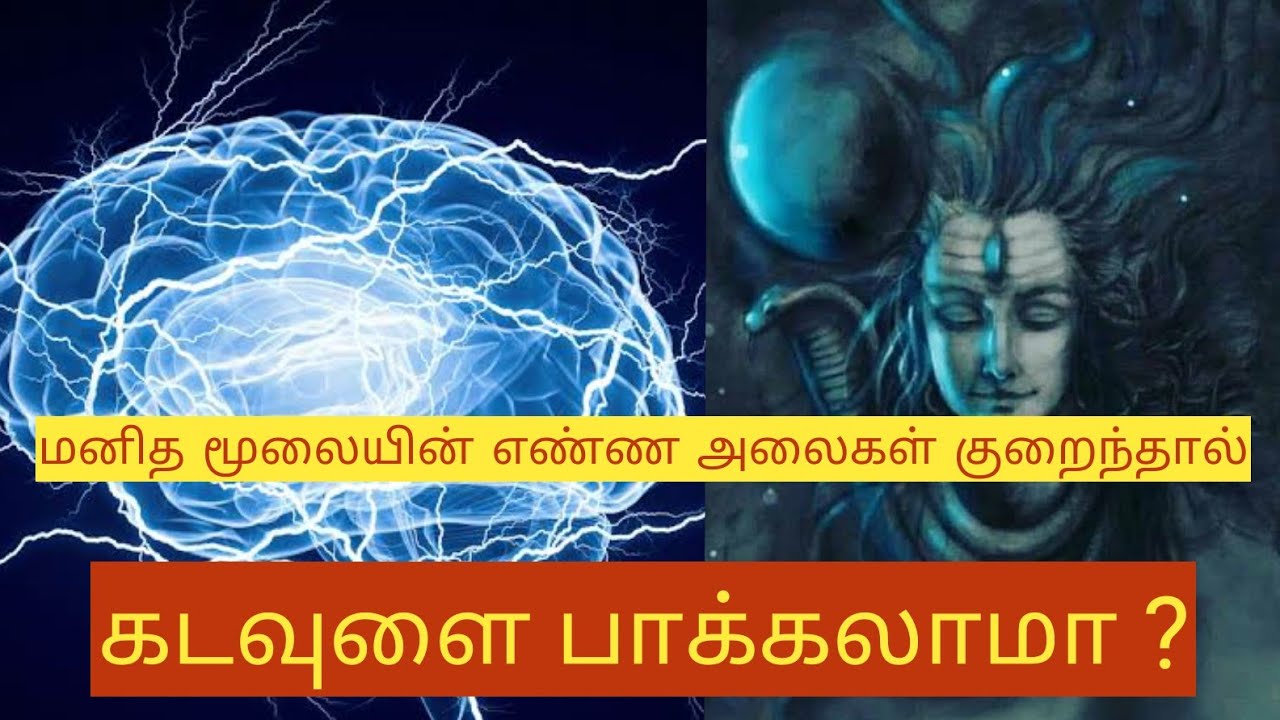 Brain waves and its types explained - YouTube