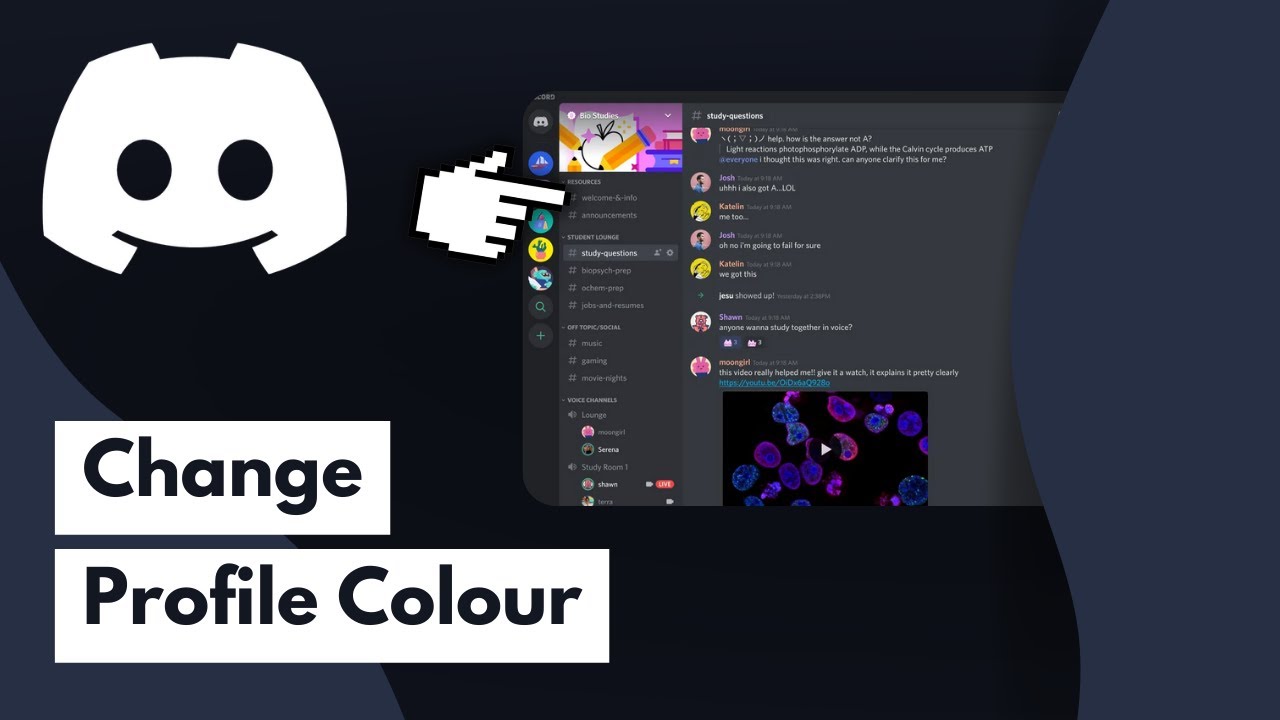 How To Change Profile Colour In Discord 2024 - YouTube