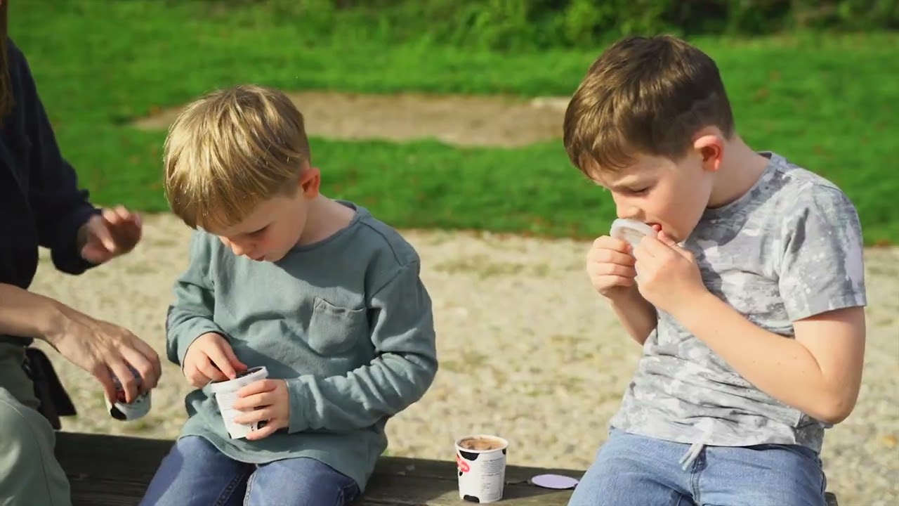 BGB Impala Fat Tyre ebike: The Perfect Way to Explore Arundel with Your ...