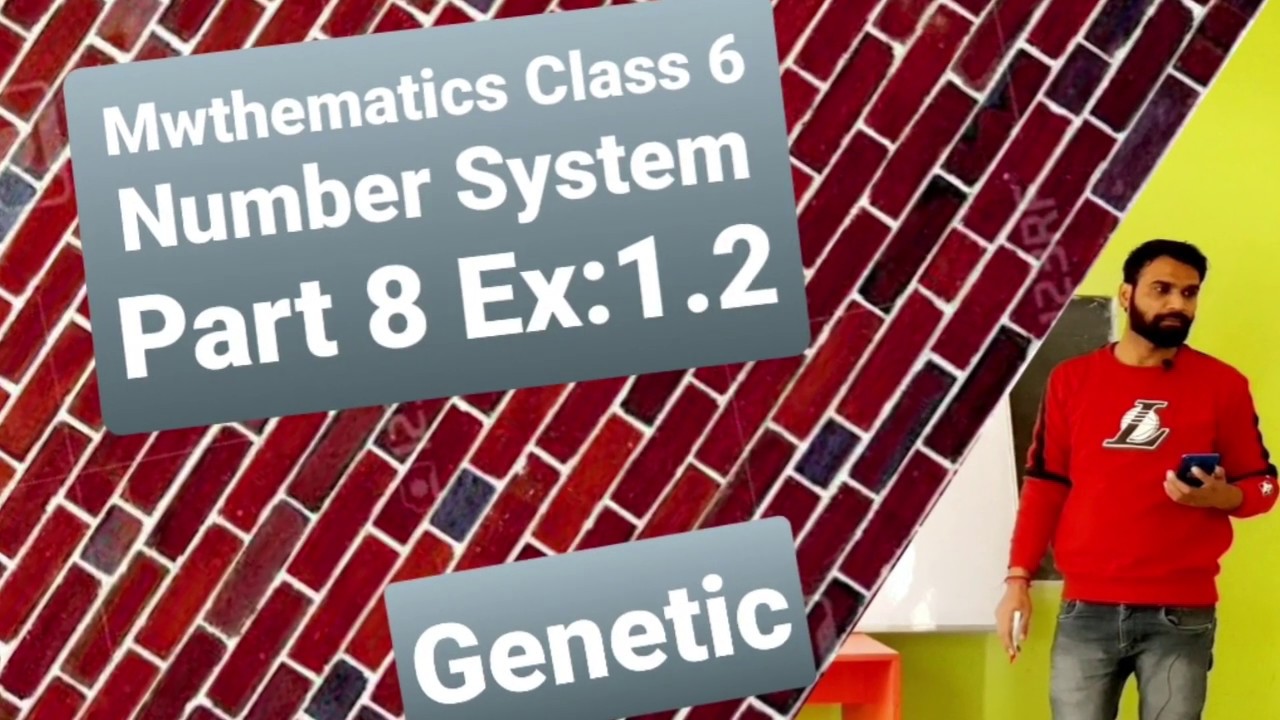 Mathematics Class 6 Number System Part 8 Ex: 1.2 - YouTube