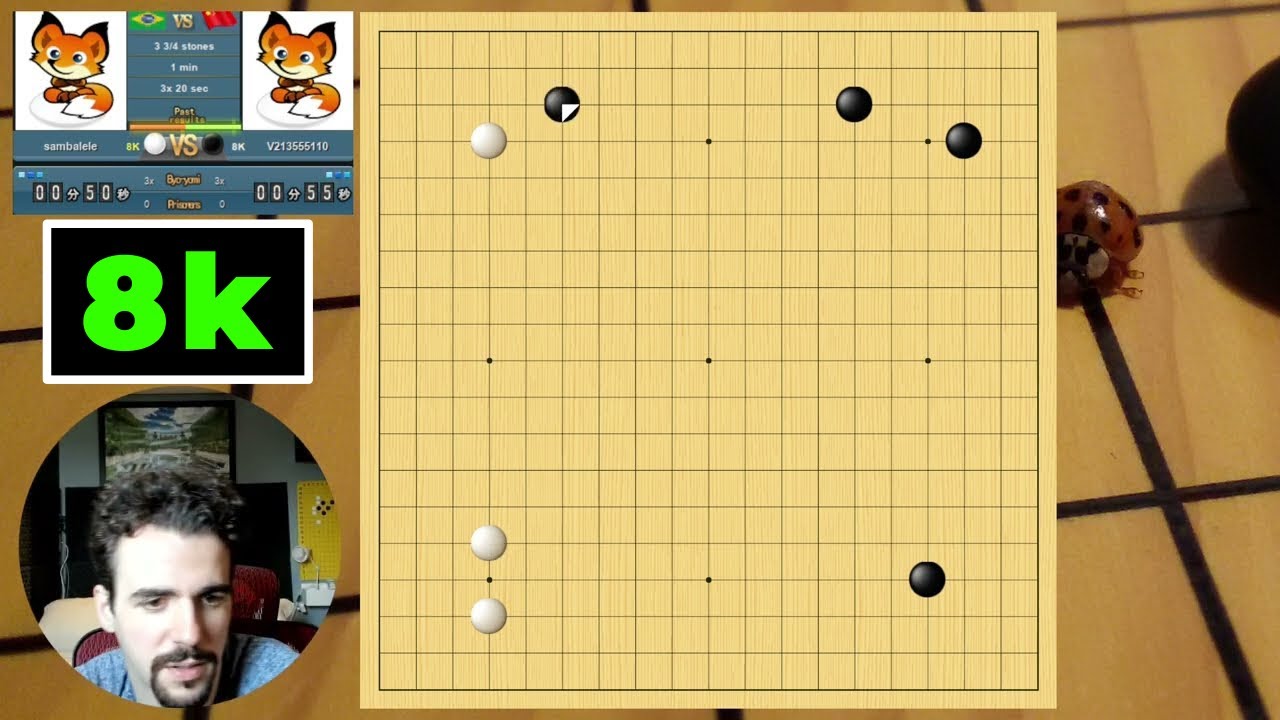 Escada que gera casco de tartaruga | Rota Fox Kyu-Dan #027 (8k) - YouTube