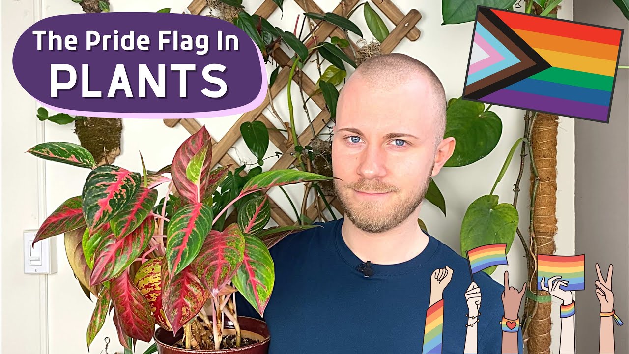 The Pride Flag In Plants - YouTube