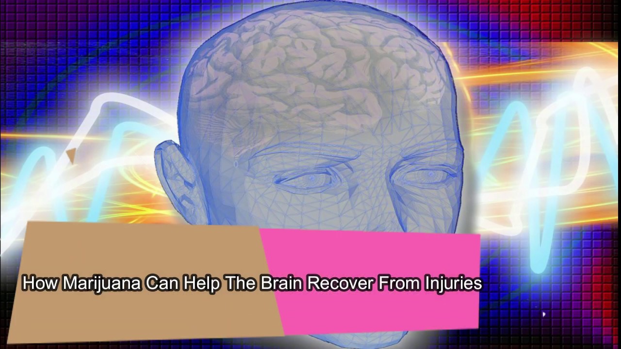 How Marijuana Can Help The Brain Recover From Injuries - YouTube