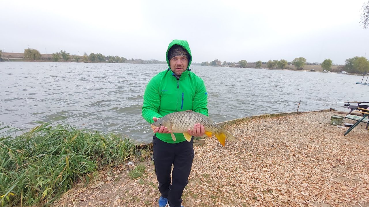 Pescuit pe lacul Tancabesti 2! - YouTube