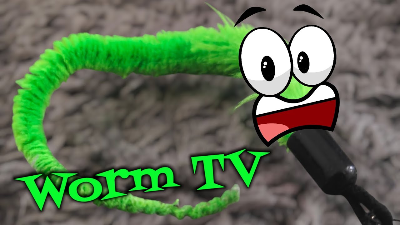 WORM TV - YouTube