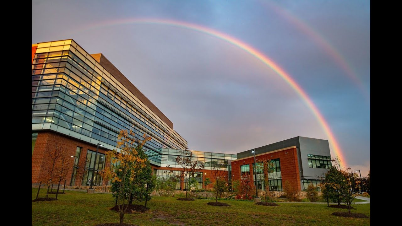 Bioengineering Research Project FINAL - YouTube