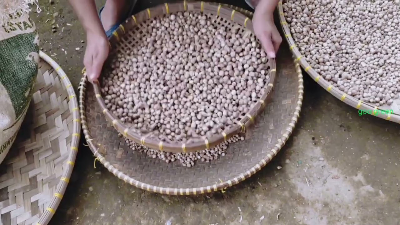 Proses Pengeringan Secara Alami & Proses Pengeringan Secara Buatan ...