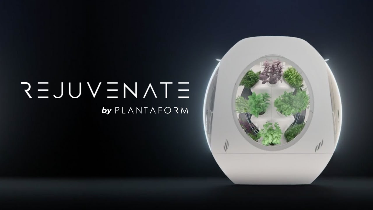 Plantaform Indoor Garden - YouTube