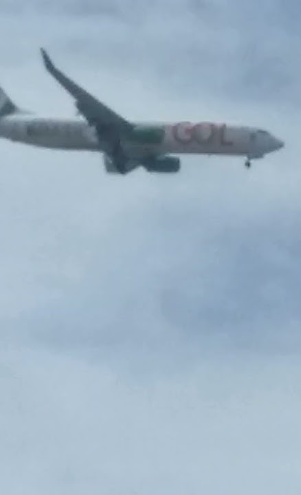Gol1878 Brazil Football Team Livery Boeing 737 8eh Reg Pr Gxb SÃo