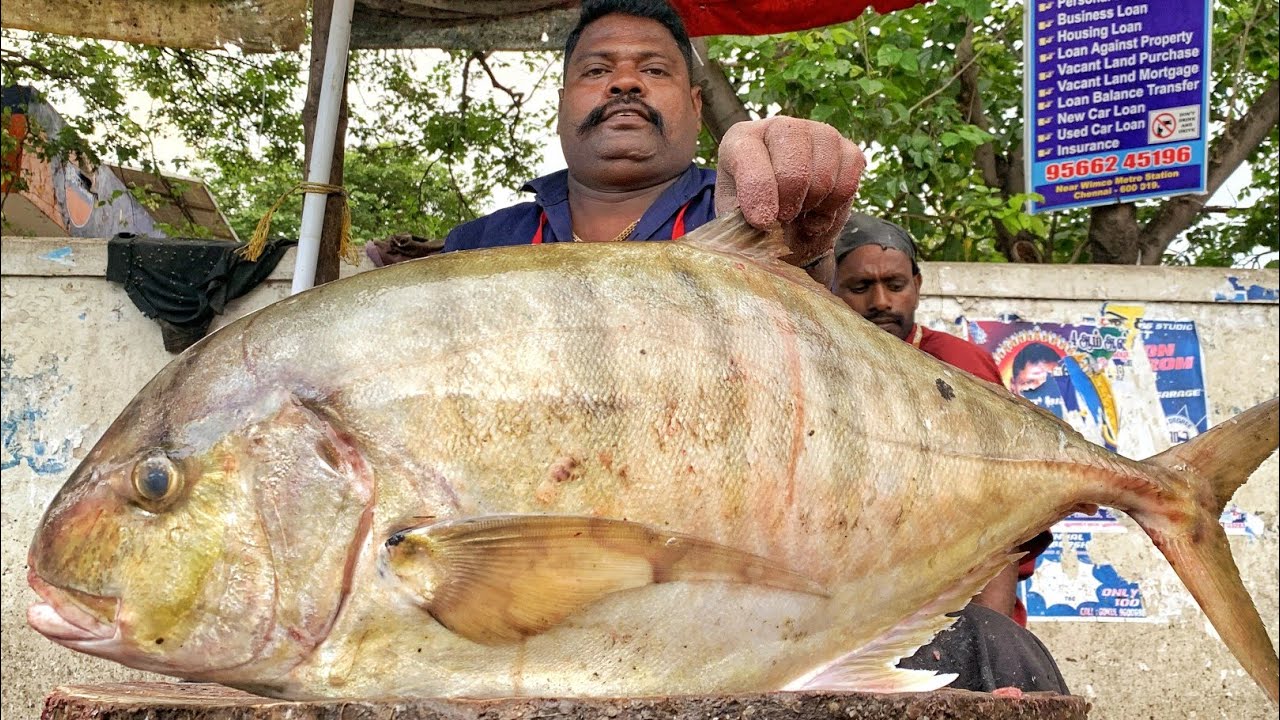 KASIMEDU 🔥 SPEED SELVAM | HUGE YELLOW TRAVELLY FISH CUTTING VIDEO | 4K ...