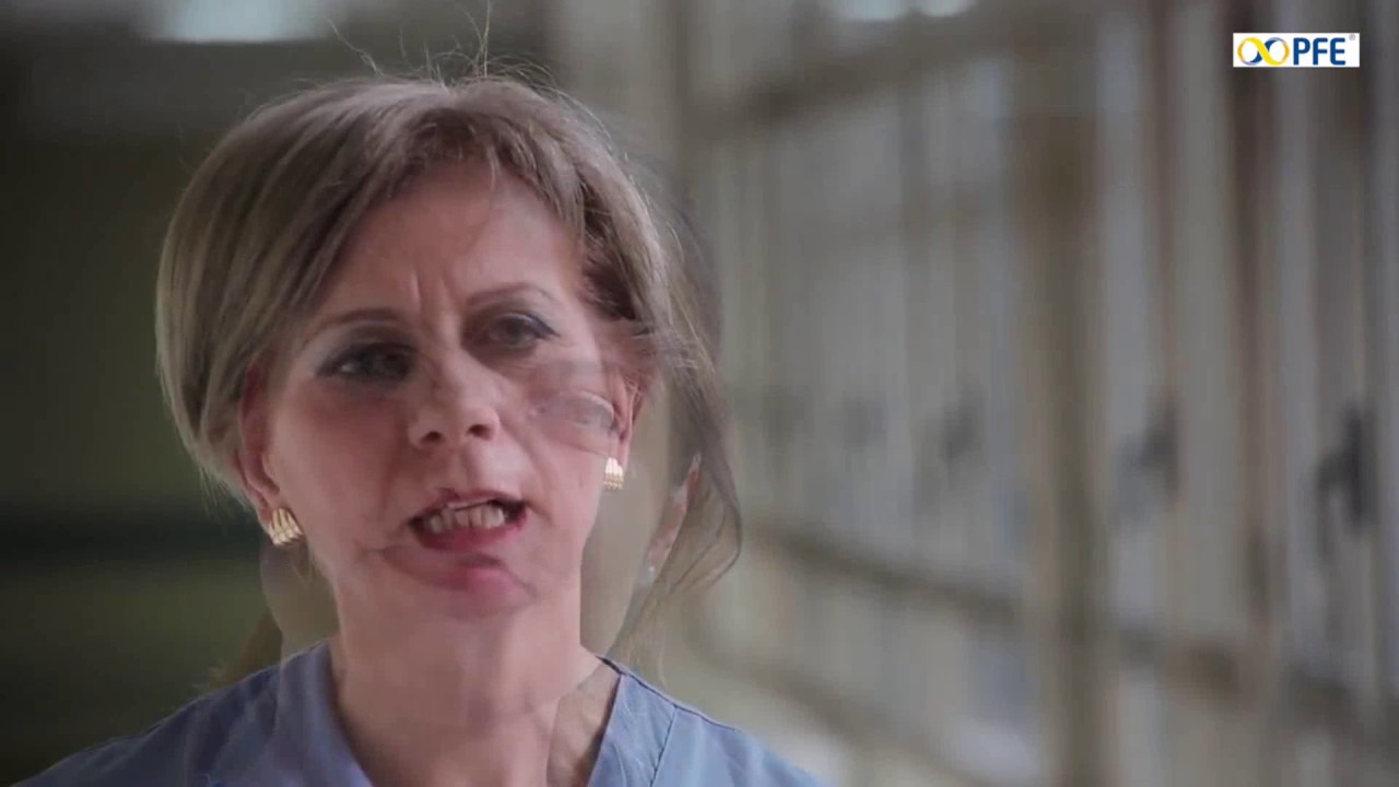 Cos'è per NOI PFE SpA - YouTube