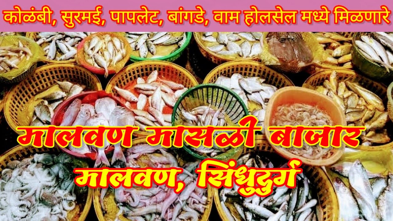 मालवण फिश मार्केट, मालवण / Malvan Fish Market, Malvan, Sindhudurg - YouTube