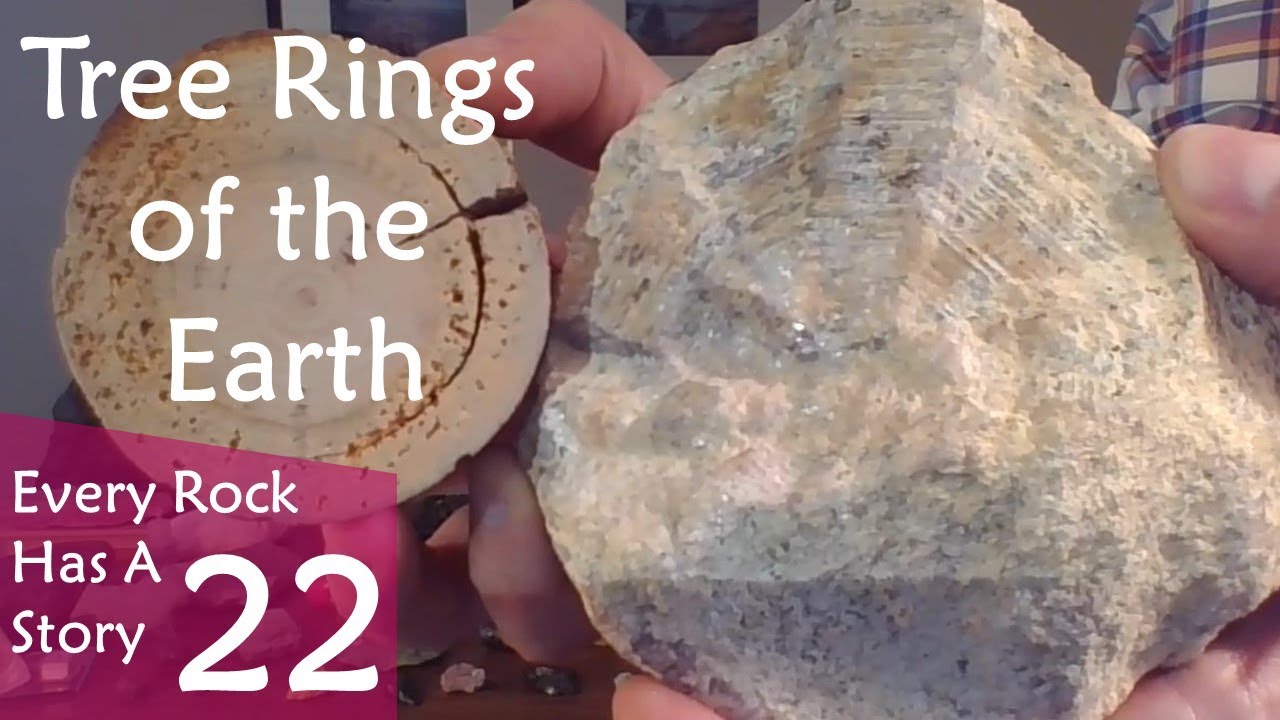 Every Rock Has A Story #22 - Tree Rings of the Earth - YouTube