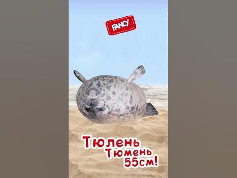 Мягкая игрушка тюлень Тюмень - YouTube