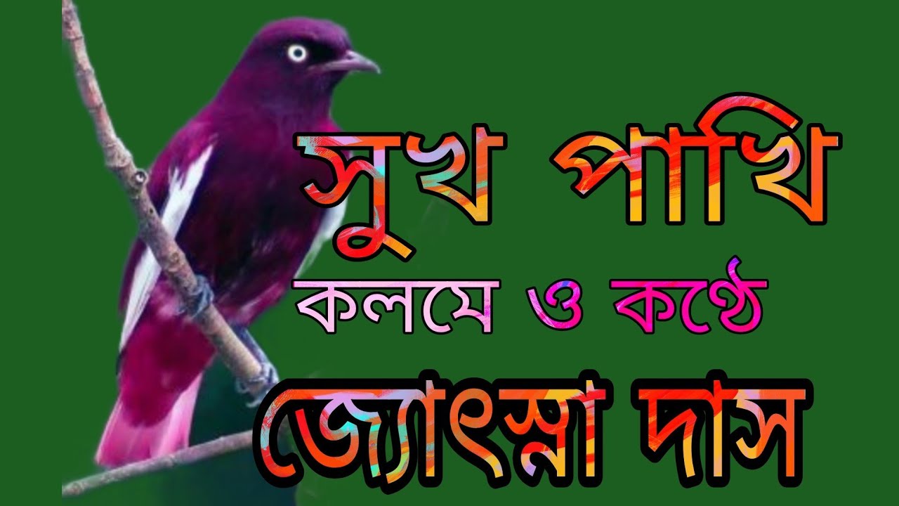 সুখ পাখি#sukh pakhi #selfwritten #jyotsna Das ...